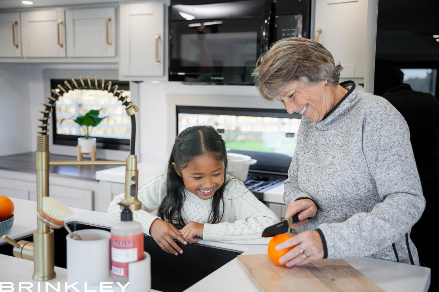 Model Z AIR Premium Luxury Travel Trailers By Brinkley RV